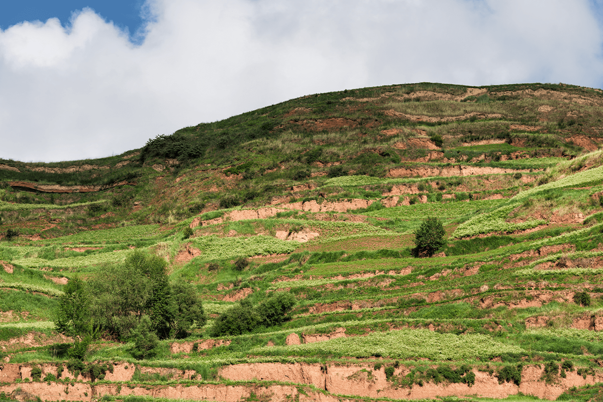 Preventing desertification: Top 5 success stories